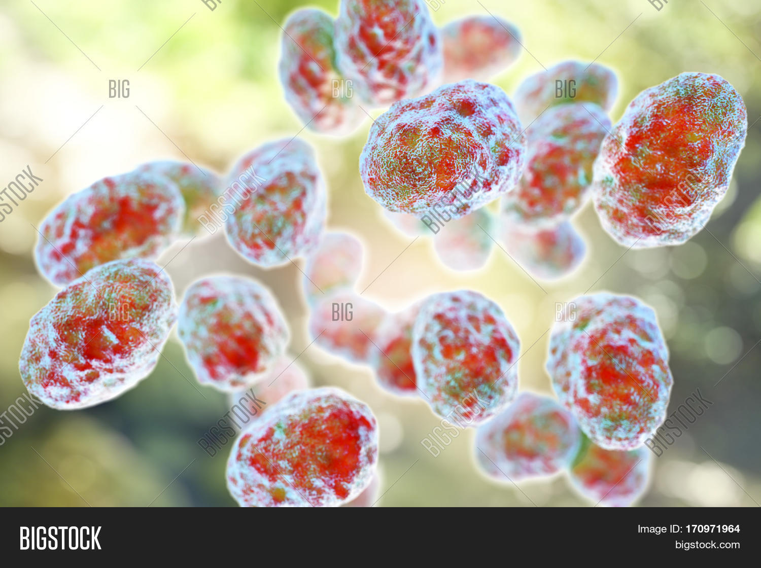 Imagen y foto Bacteria (prueba gratis) | Bigstock