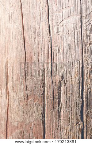 New Wood Texture Image & Photo (Free Trial) | Bigstock