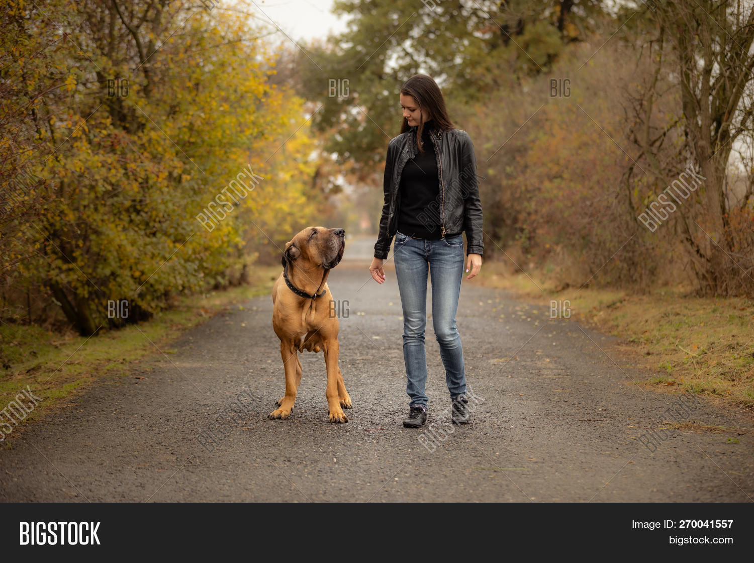 Yong Woman Big Dog Image & Photo (Free Trial) | Bigstock