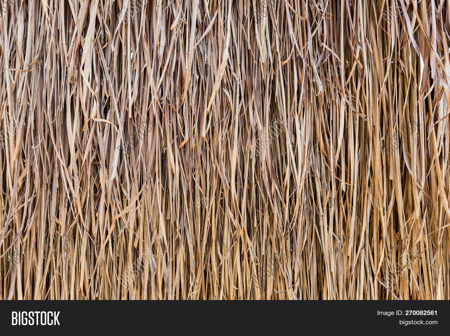 Texture Thatched On Image & Photo (Free Trial) | Bigstock