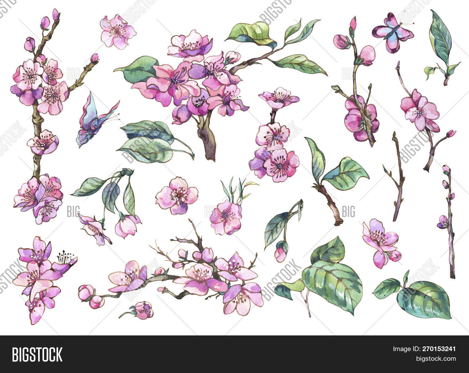 Watercolor Spring Set Image & Photo (Free Trial) | Bigstock