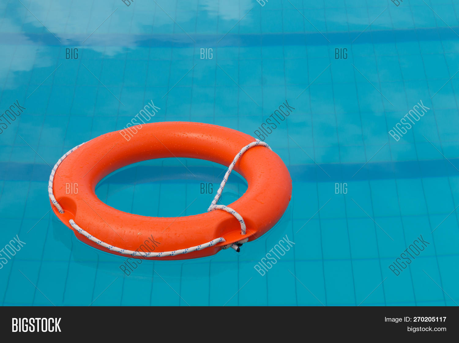 Bright Orange Life Image & Photo (Free Trial) | Bigstock