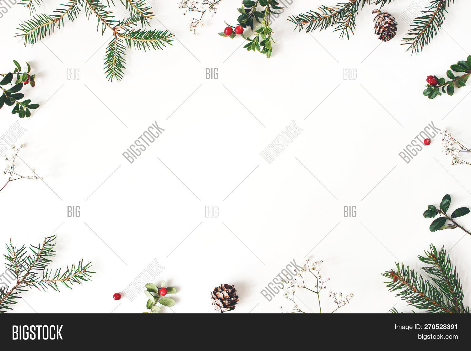 Christmas Floral Frame Image & Photo (Free Trial) | Bigstock