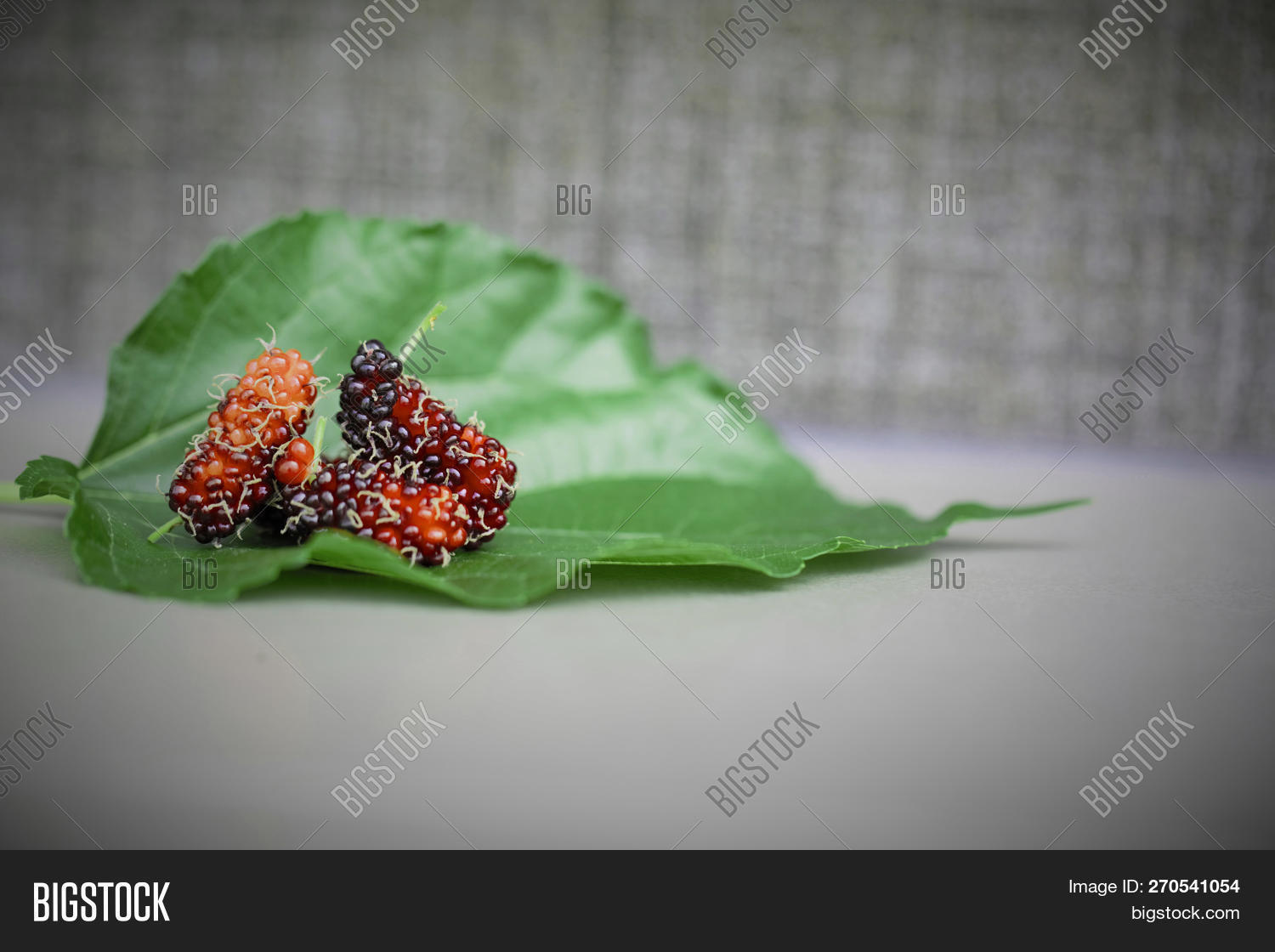 Berry Fruit Fresh Life Image & Photo (Free Trial) | Bigstock