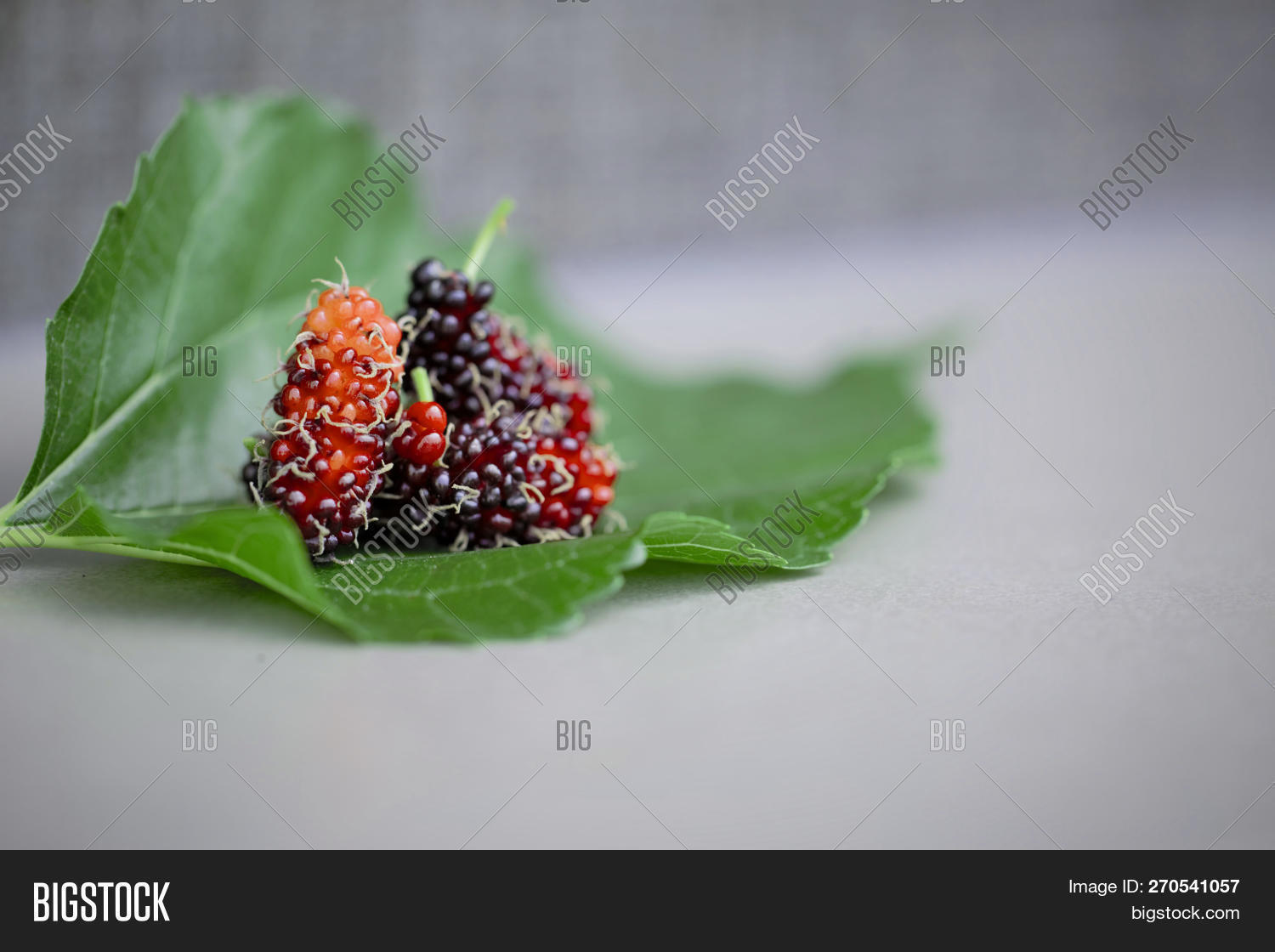 Berry Fruit Fresh Life Image & Photo (Free Trial) | Bigstock