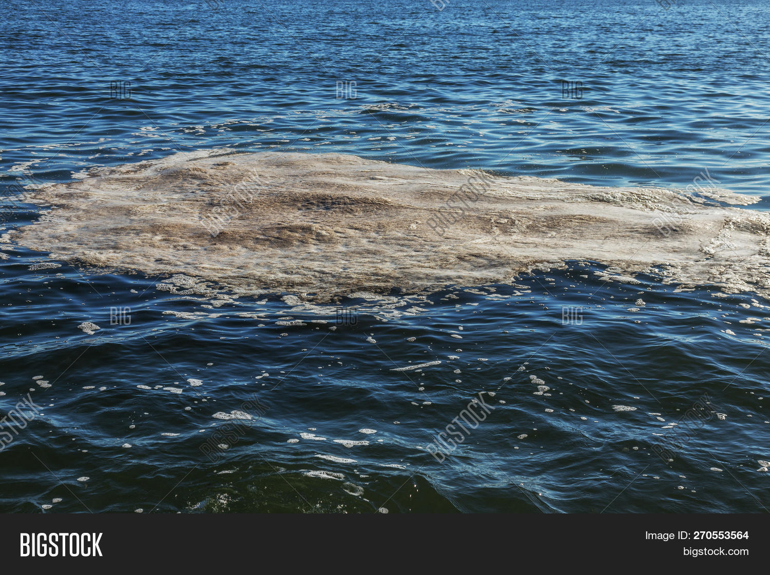 Dirty Sea Water. Dirt Image & Photo (Free Trial) | Bigstock