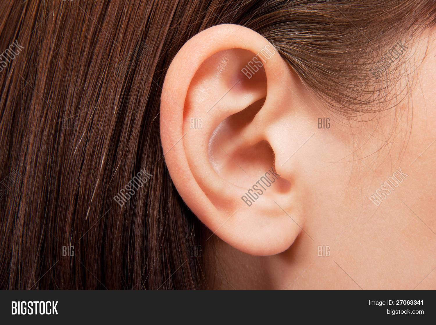 Human Ear Closeup Image & Photo (Free Trial) | Bigstock