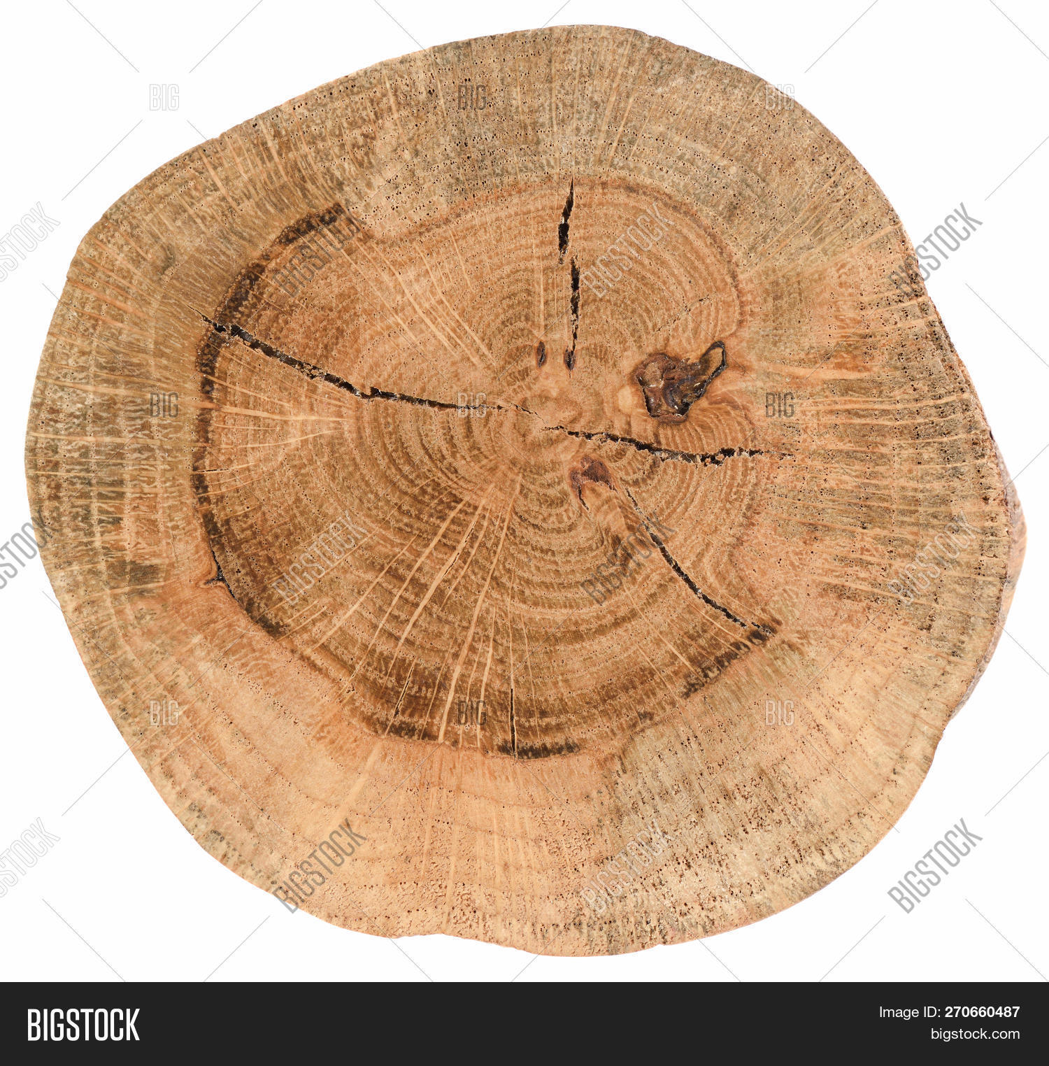 Round Cross Section Image & Photo (Free Trial) | Bigstock