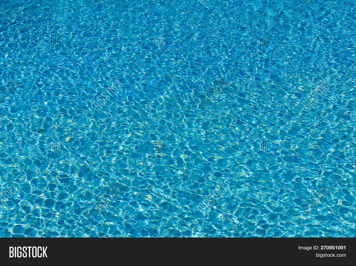 Blue Water Swimming Image & Photo (Free Trial) | Bigstock