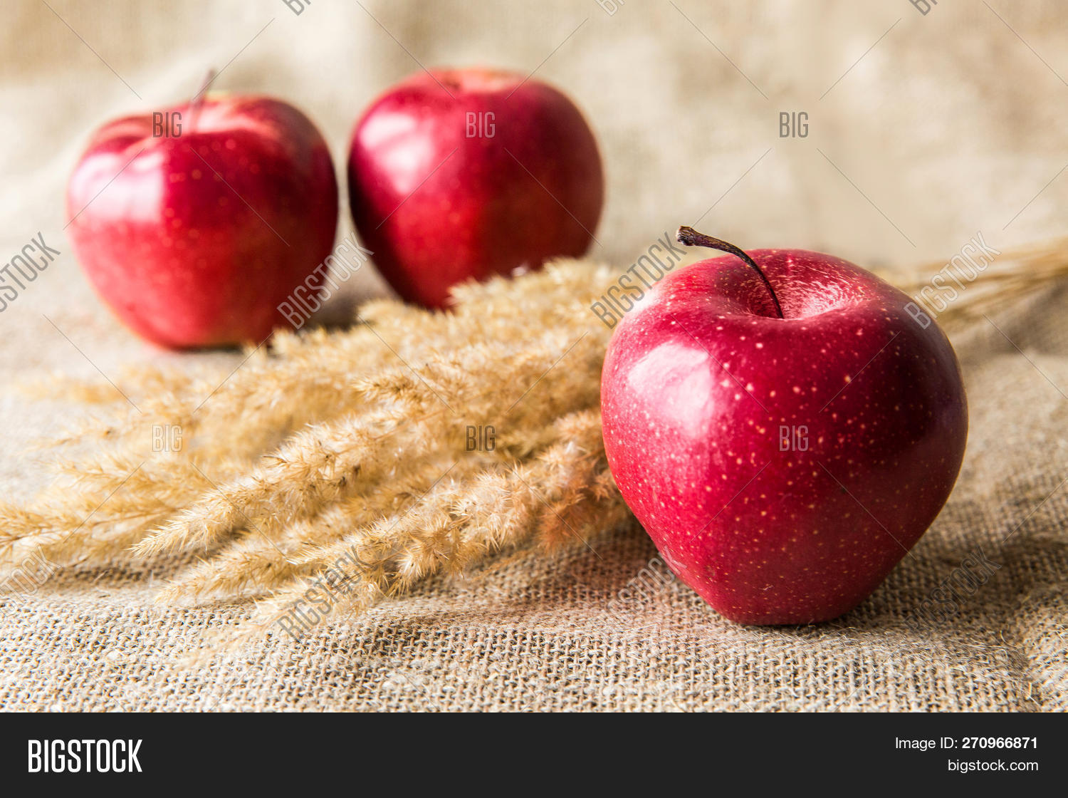 Three Red Apples Spike Image & Photo (Free Trial) | Bigstock