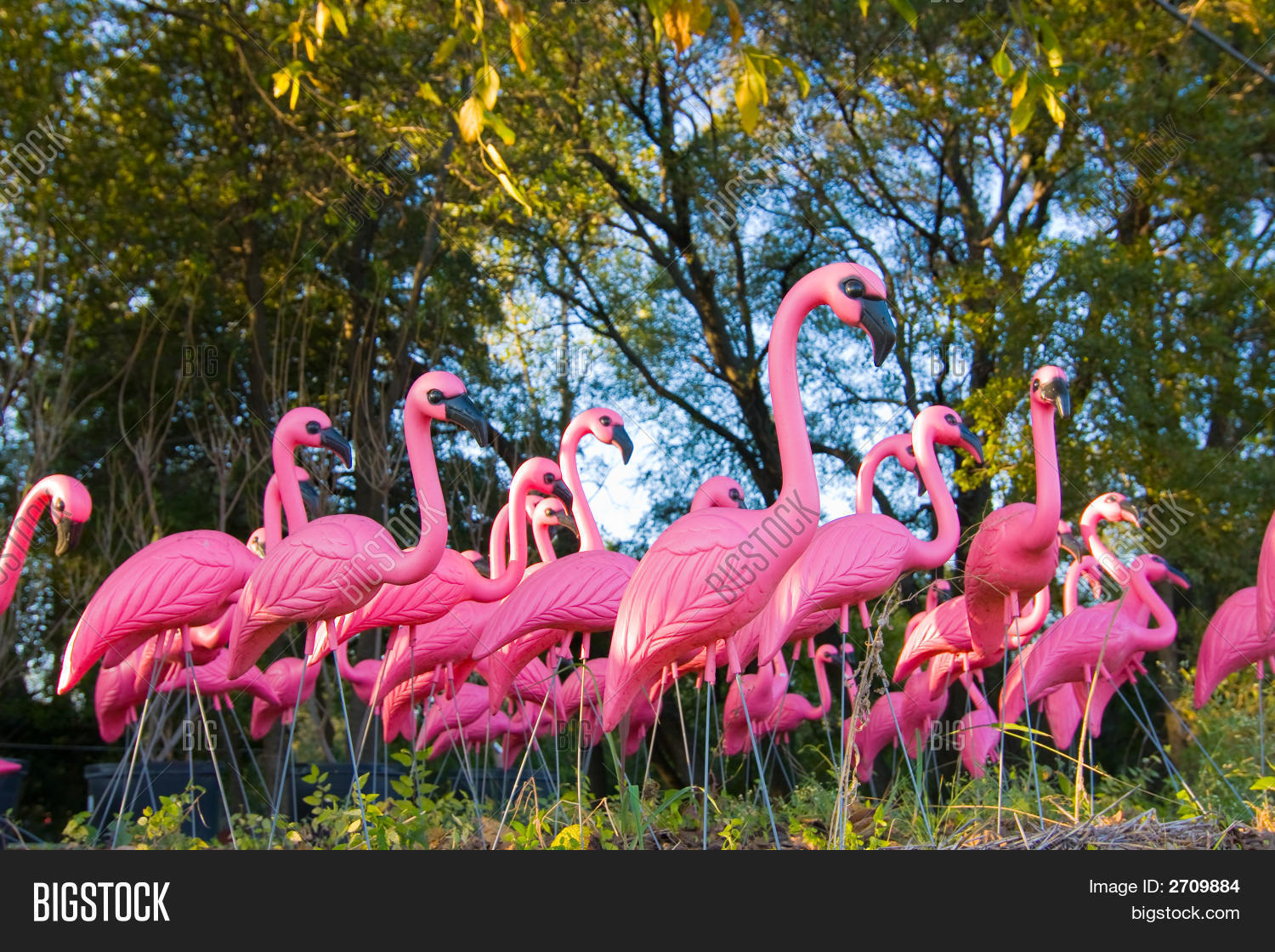 Dramatic Fake Flamingo Image & Photo (Free Trial) | Bigstock