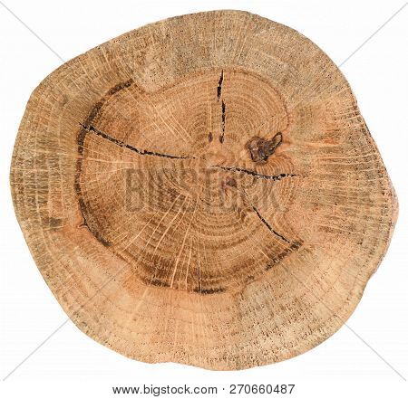 Round Cross Section Image & Photo (Free Trial) | Bigstock
