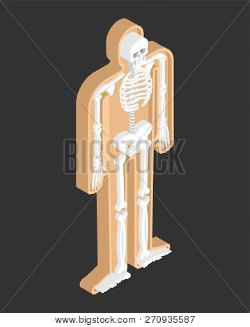 Skeleton Isometric Vector & Photo (Free Trial) | Bigstock