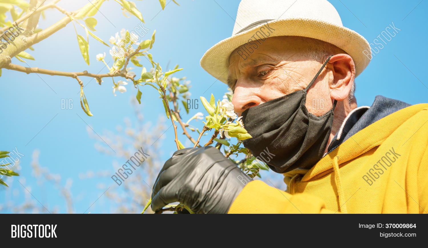 Aged Gardener Sterile Image & Photo (Free Trial) | Bigstock