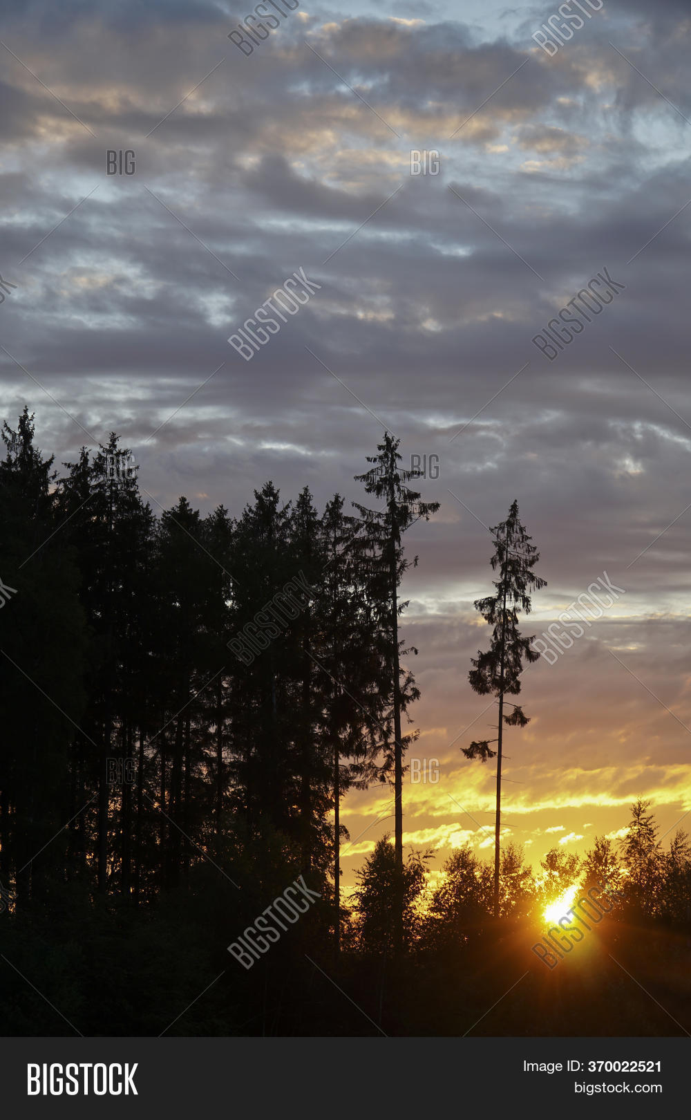 Setting Evening Sun Image & Photo (Free Trial) | Bigstock