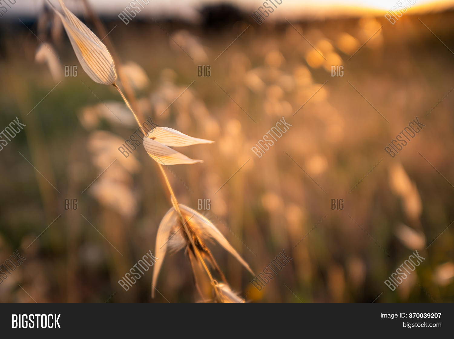 Spikes Sun Valleys Image & Photo (Free Trial) | Bigstock