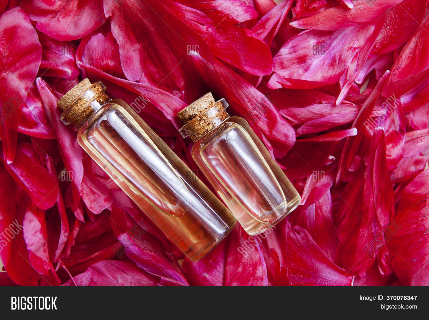 Flat Lay Glass Bottles Image & Photo (Free Trial) | Bigstock