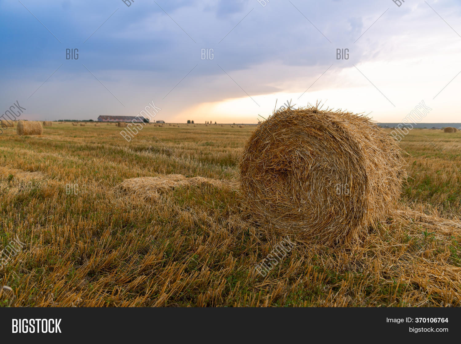 Haystack Rolled On Image & Photo (Free Trial) | Bigstock