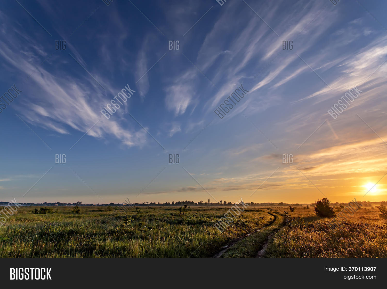 Beautiful Summer Image & Photo (Free Trial) | Bigstock