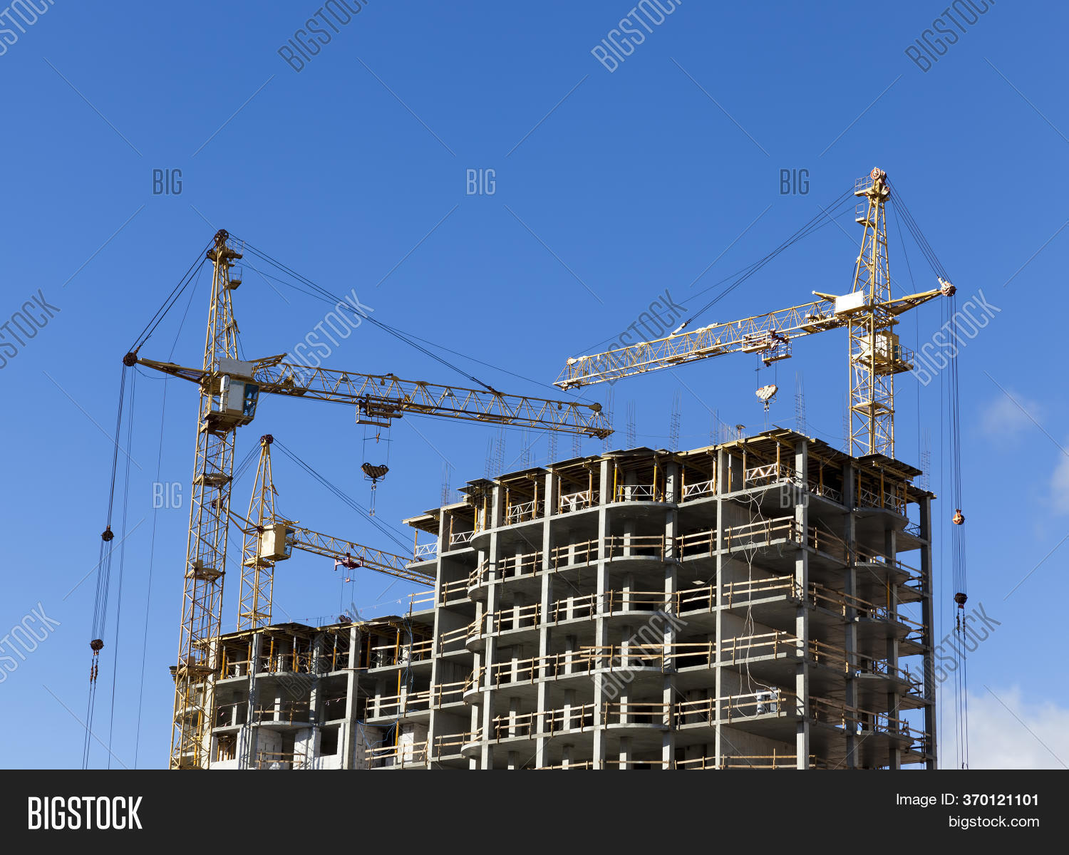 Tall Yellow Image & Photo (Free Trial) | Bigstock