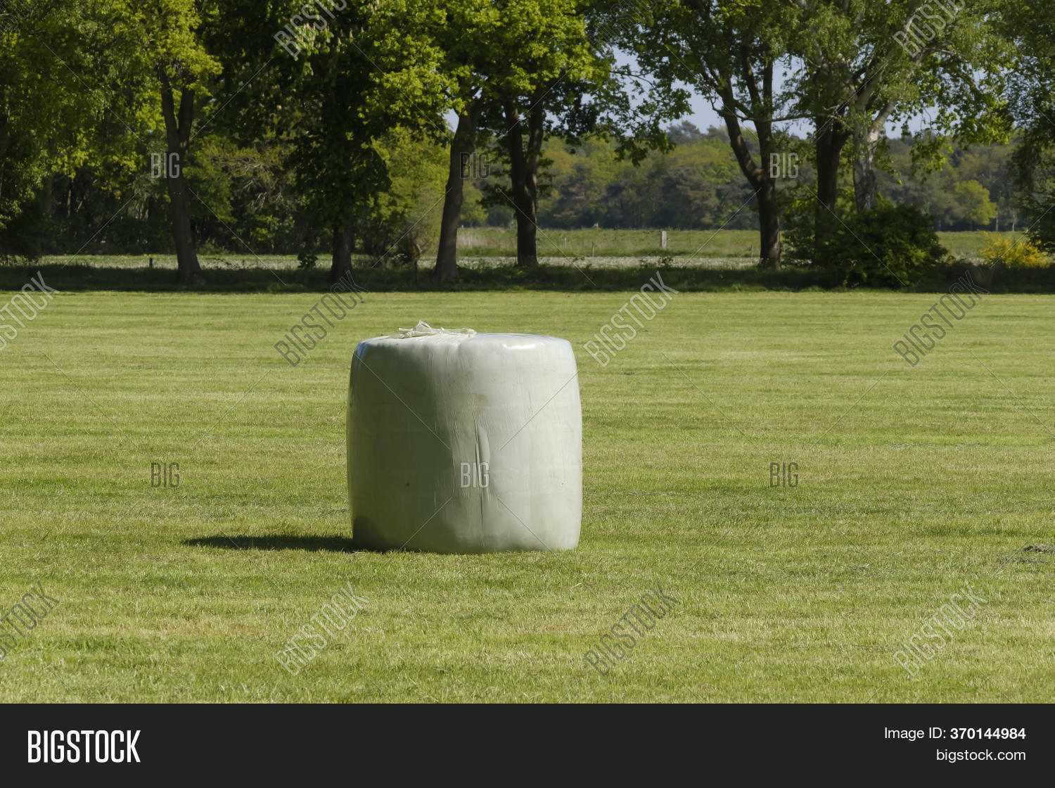 Green Field Bale Hay, Image & Photo (Free Trial) | Bigstock