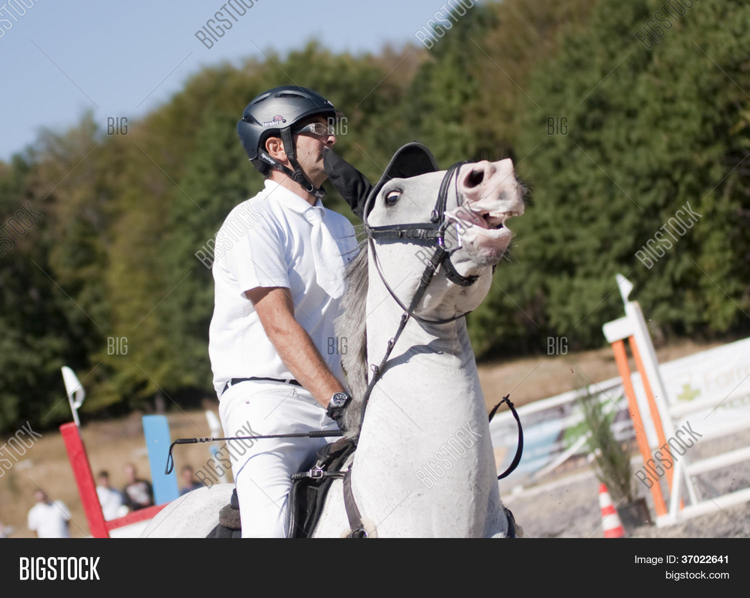 SALICEA, ROMANIA - Image & Photo (Free Trial) | Bigstock