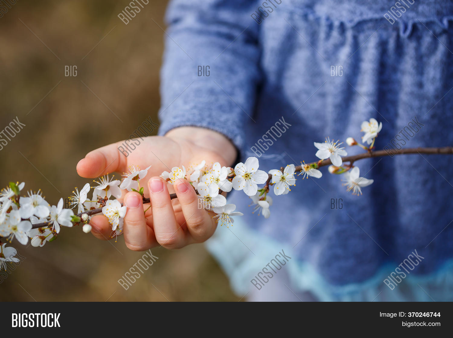Girl Holds Branch Image & Photo (Free Trial) | Bigstock