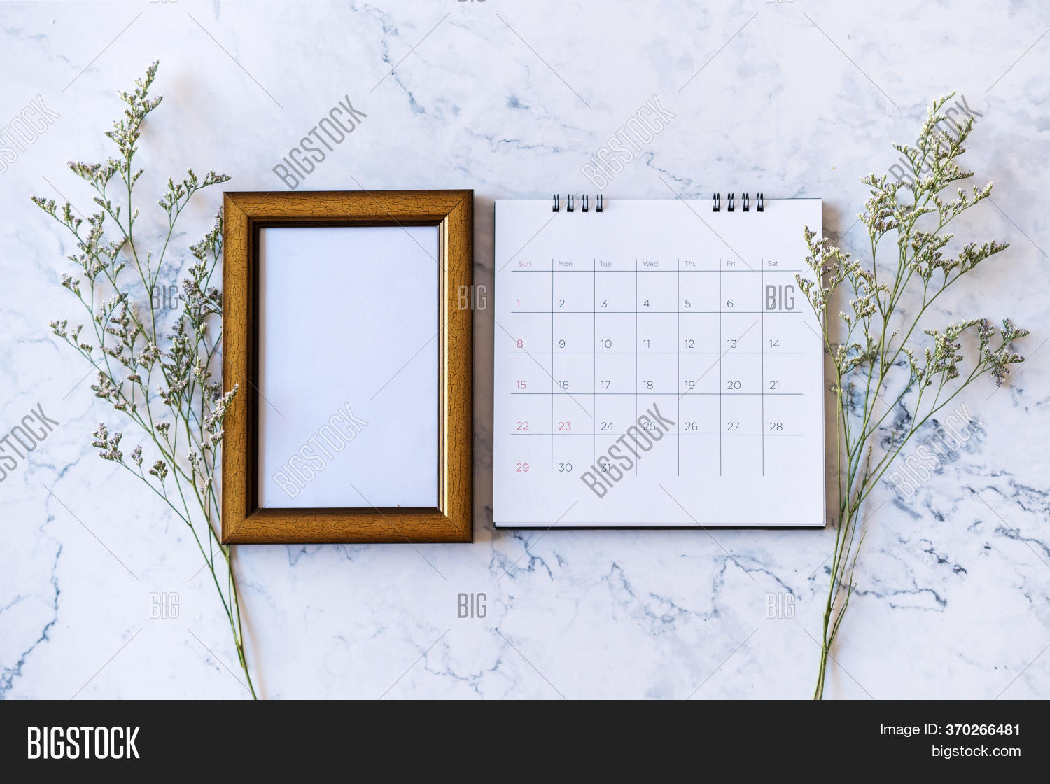 Picture Frame Calendar Image & Photo (Free Trial) | Bigstock