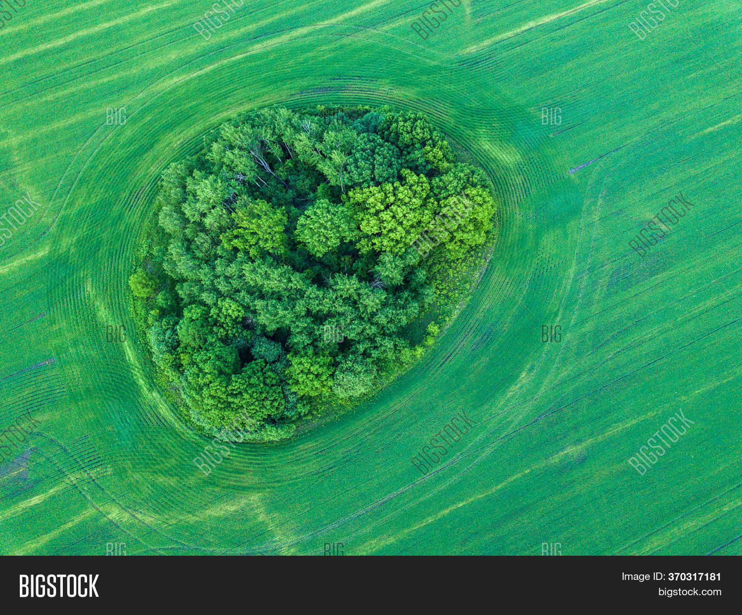 Island Bushes Trees Image & Photo (Free Trial) | Bigstock