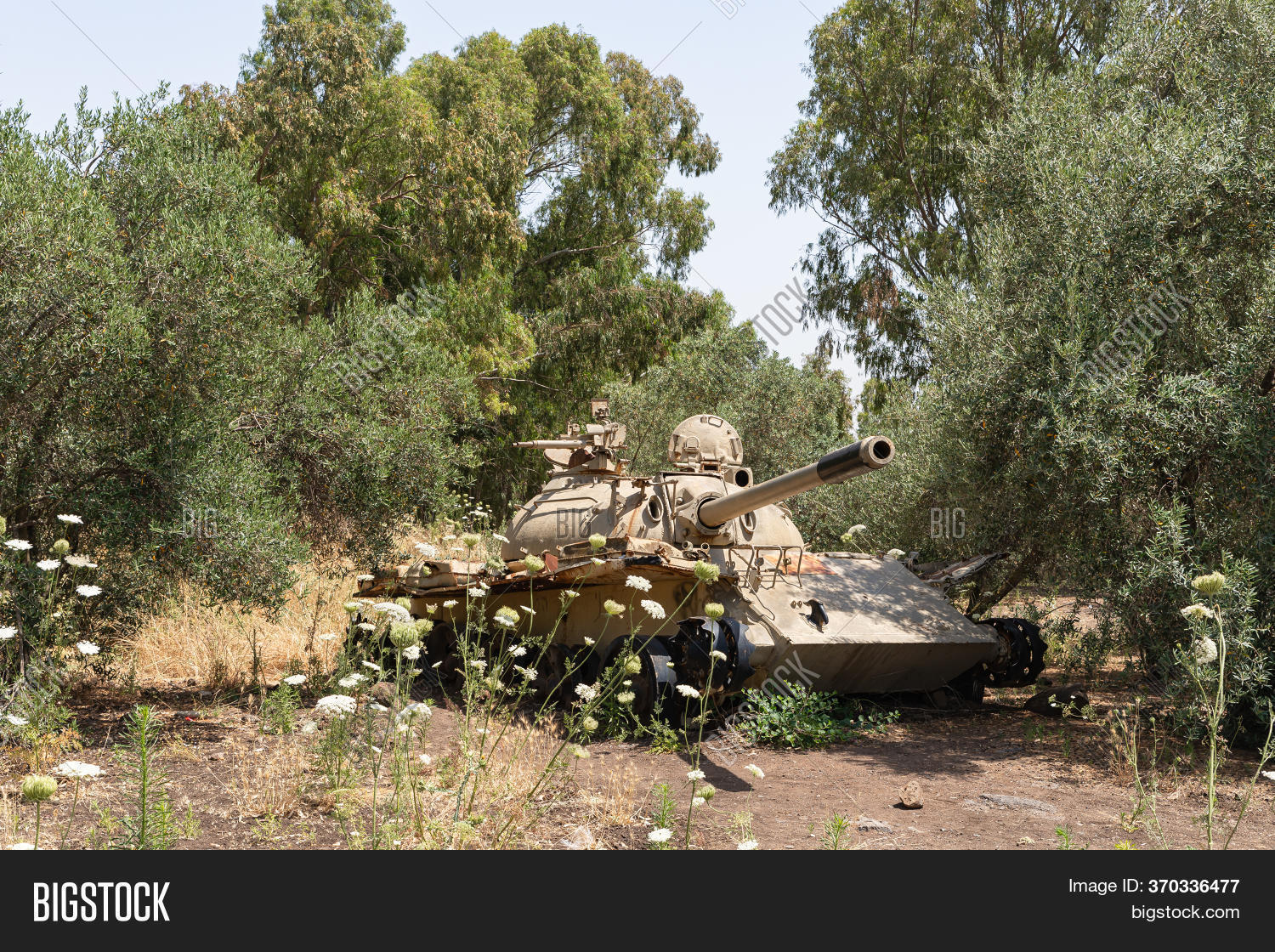 Battered Syrian Tank Image & Photo (Free Trial) | Bigstock