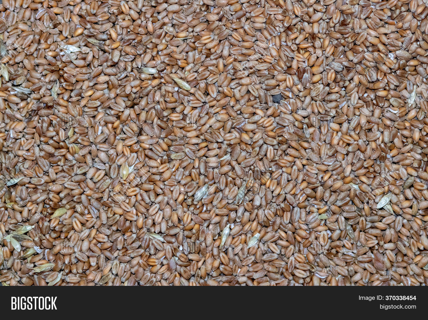 Texture Background Image & Photo (Free Trial) | Bigstock