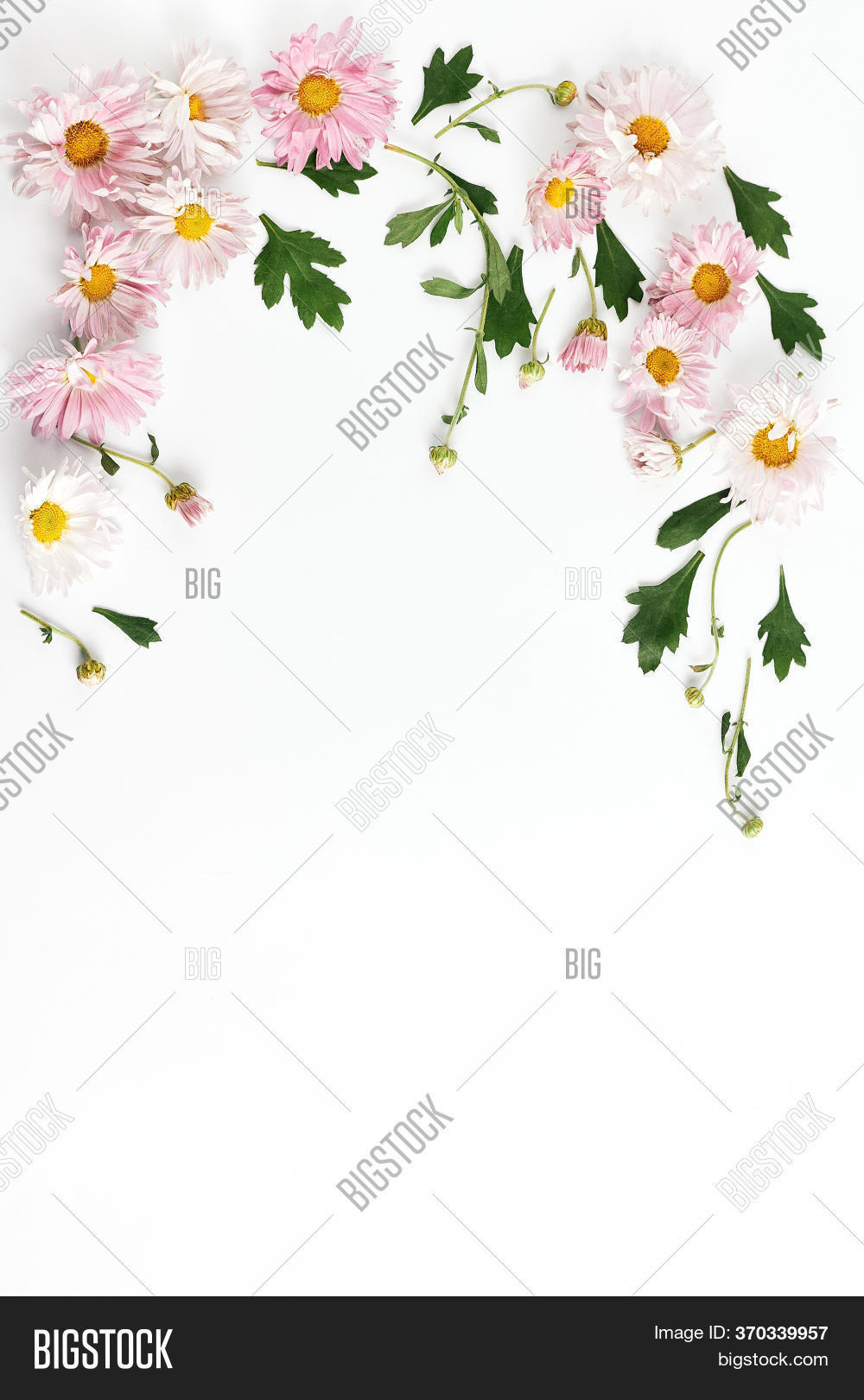 Flower Frame Layout. Image & Photo (Free Trial) | Bigstock