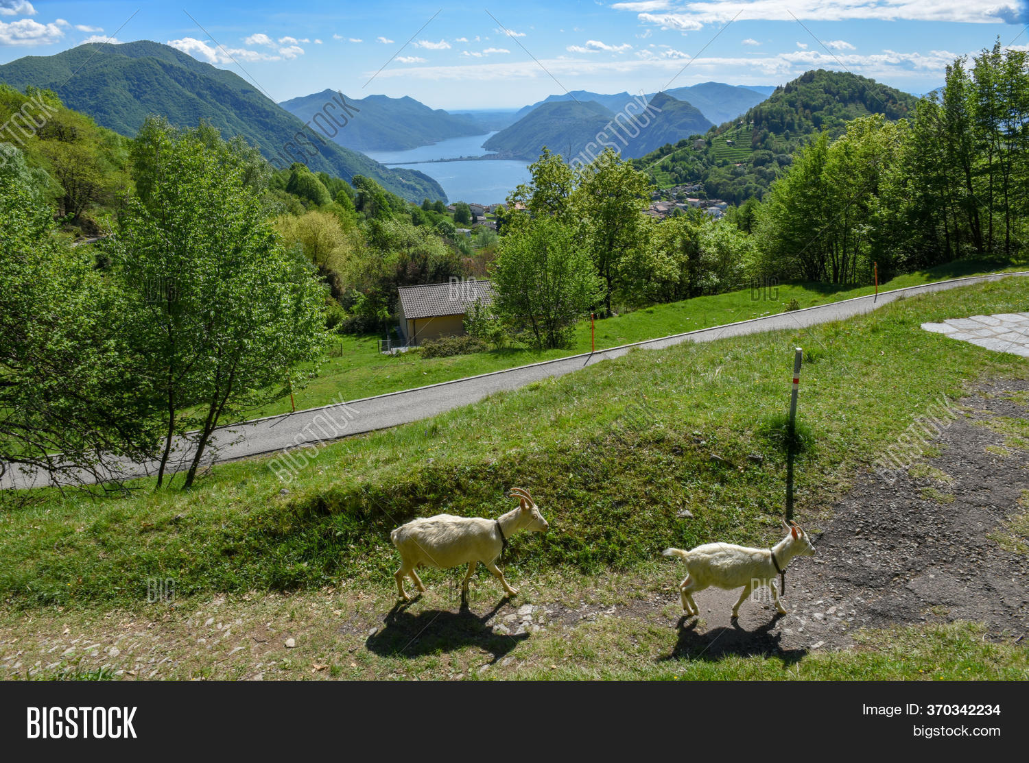 View Lugano Mount Bre Image & Photo (Free Trial) | Bigstock