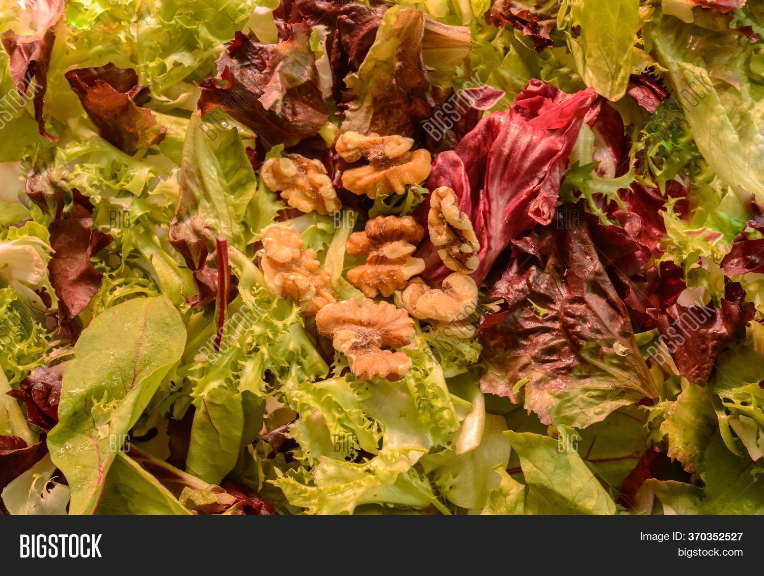 Fresh Rocket Green Image & Photo (Free Trial) | Bigstock