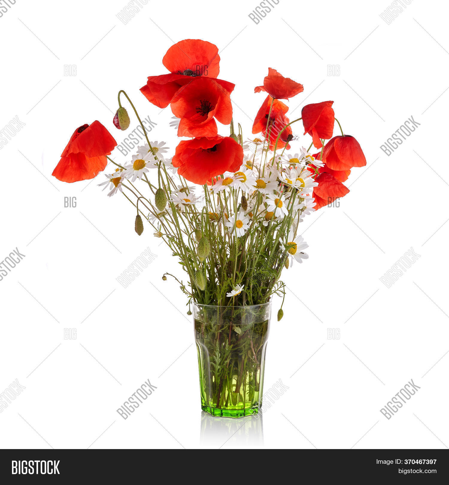 Poppy Daisy Wild Image & Photo (Free Trial) | Bigstock