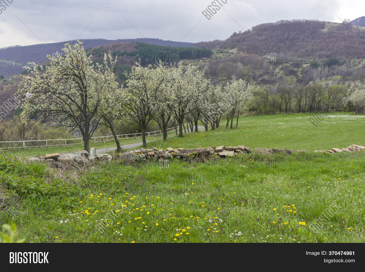 Spring Landscape Near Image & Photo (Free Trial) | Bigstock