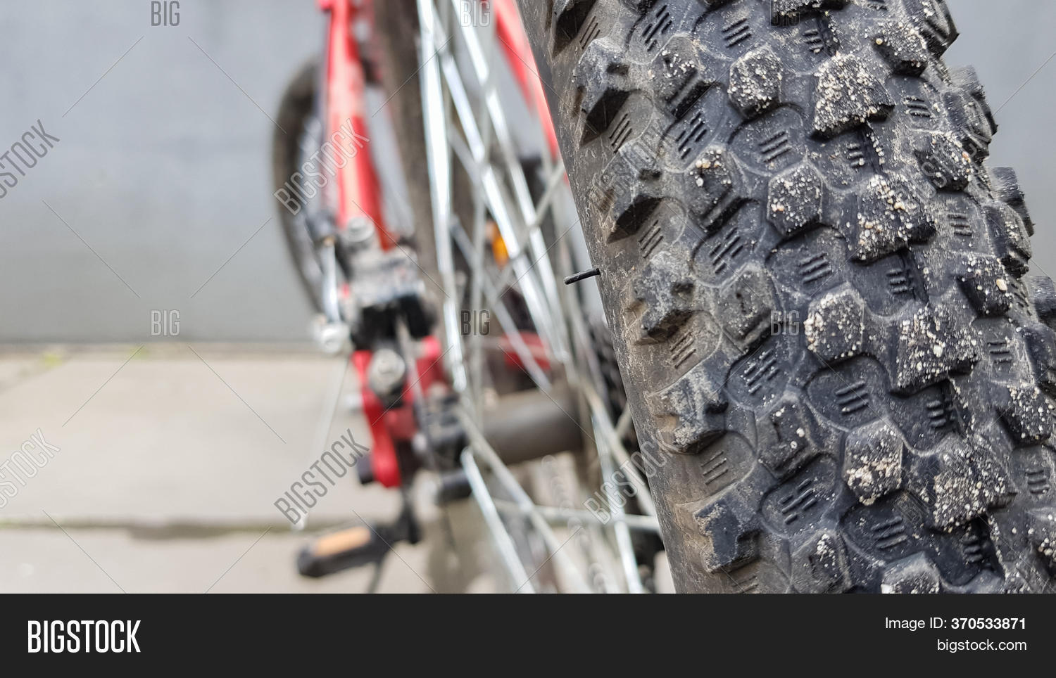 Close- Rear Bicycle Image & Photo (Free Trial) | Bigstock