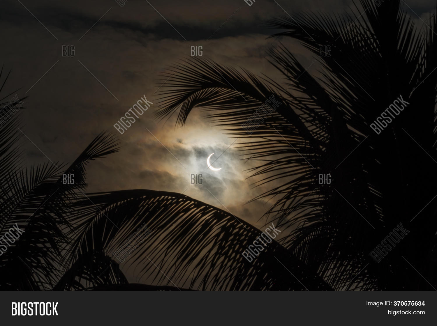 Solar Eclipse December Image & Photo (Free Trial) | Bigstock