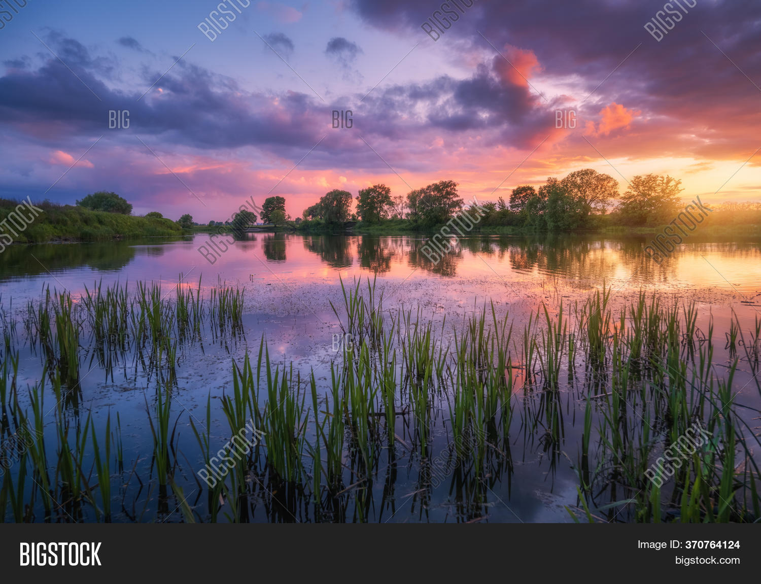 Beautiful River Coast Image & Photo (Free Trial) | Bigstock