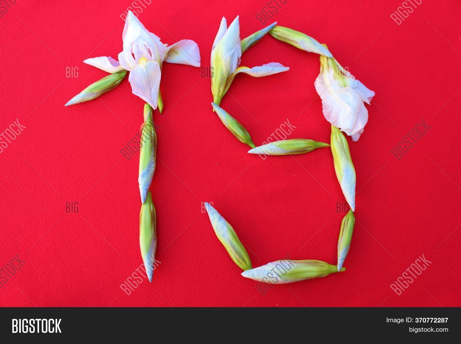 Number 19 Written By Image & Photo (Free Trial) | Bigstock