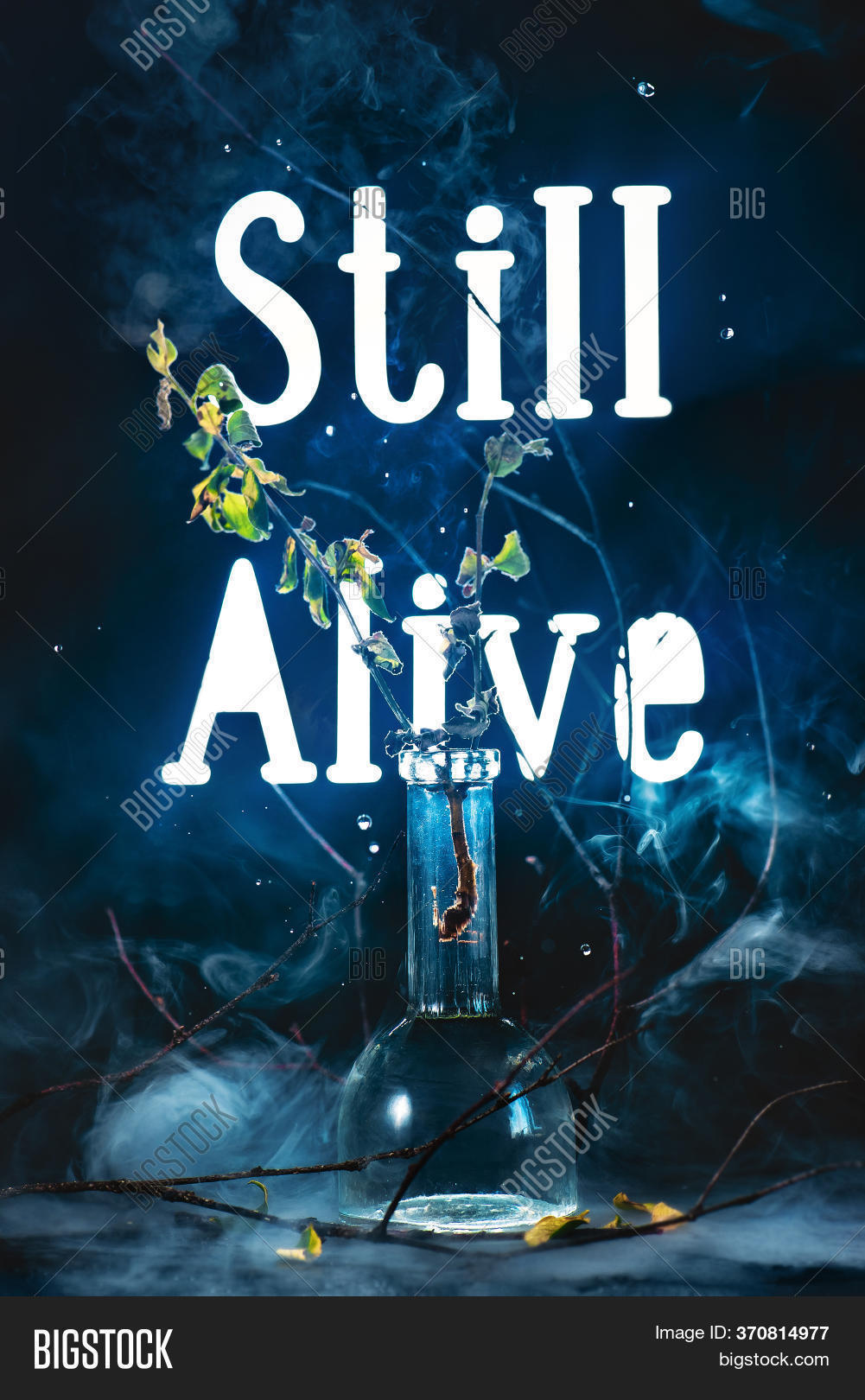 Still Alive Backlight Image & Photo (Free Trial) | Bigstock