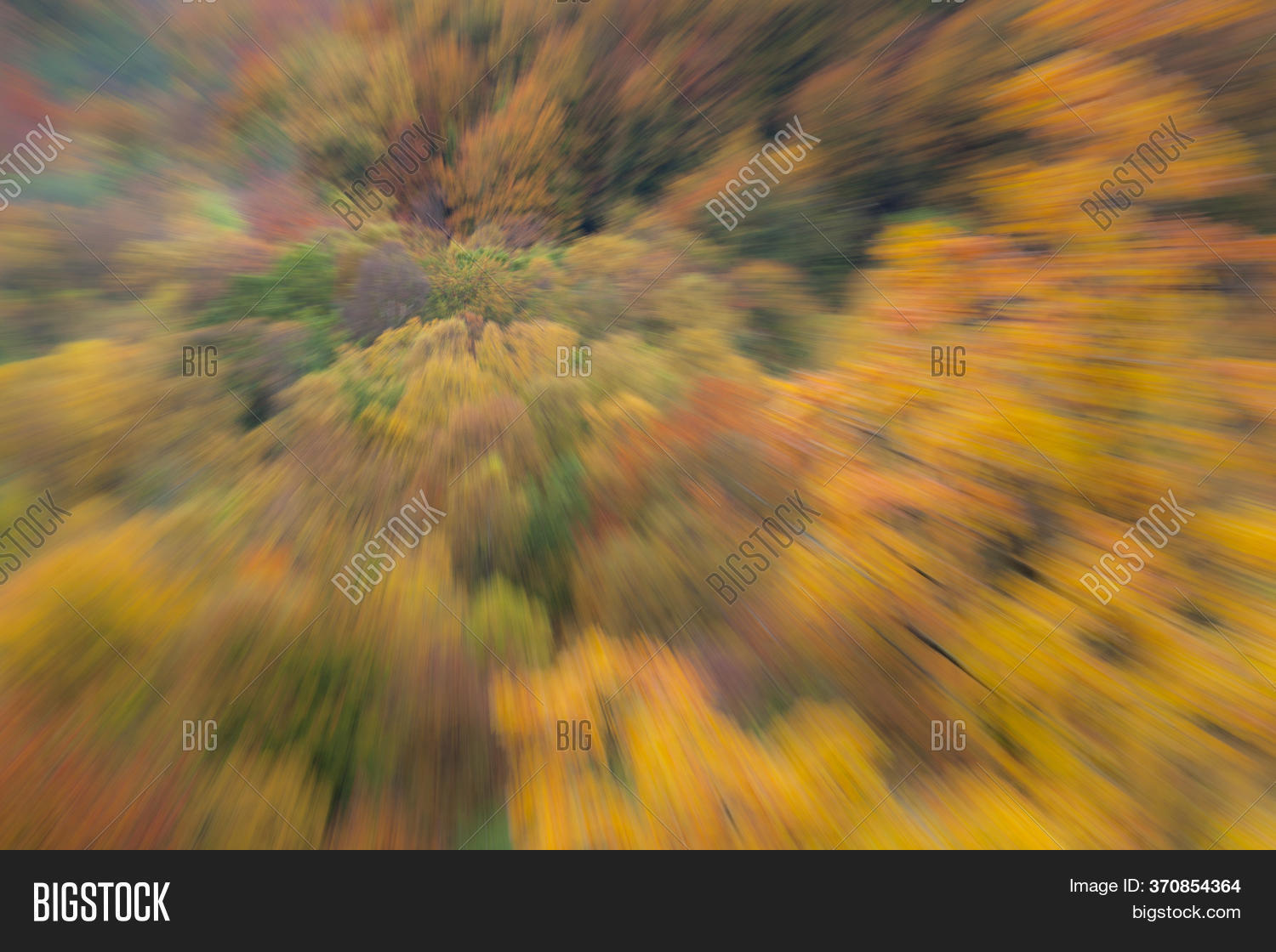Abstract Photo, Forest Image & Photo (Free Trial) | Bigstock