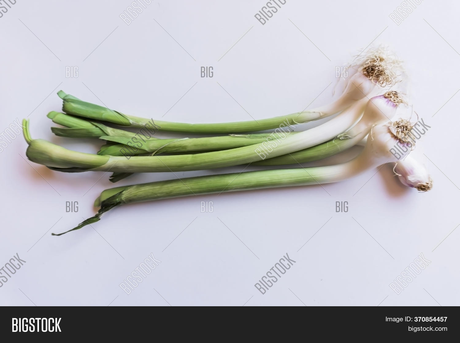 Scallions Isolated On Image & Photo (Free Trial) | Bigstock