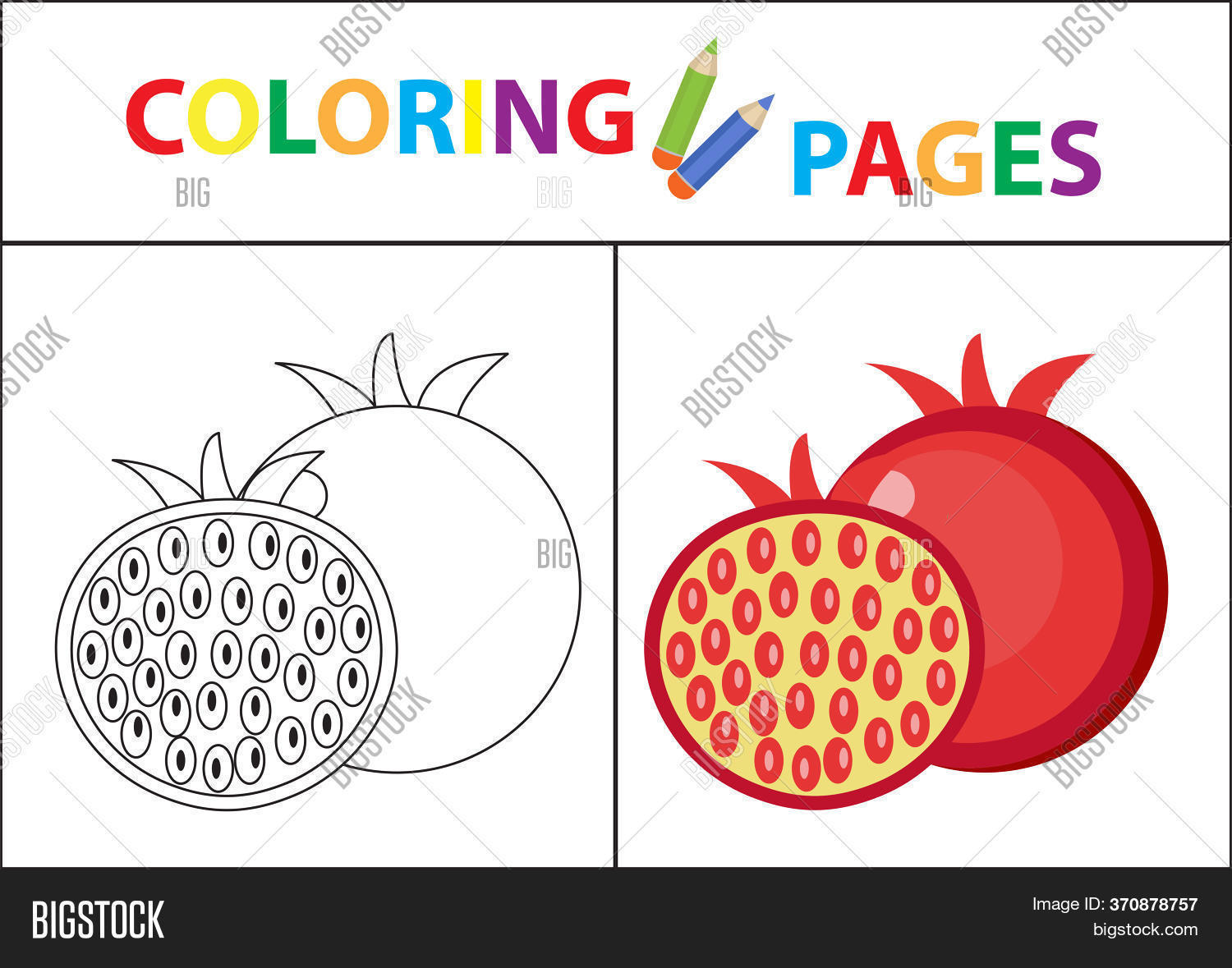 Coloring Book Page. Image & Photo (Free Trial) | Bigstock