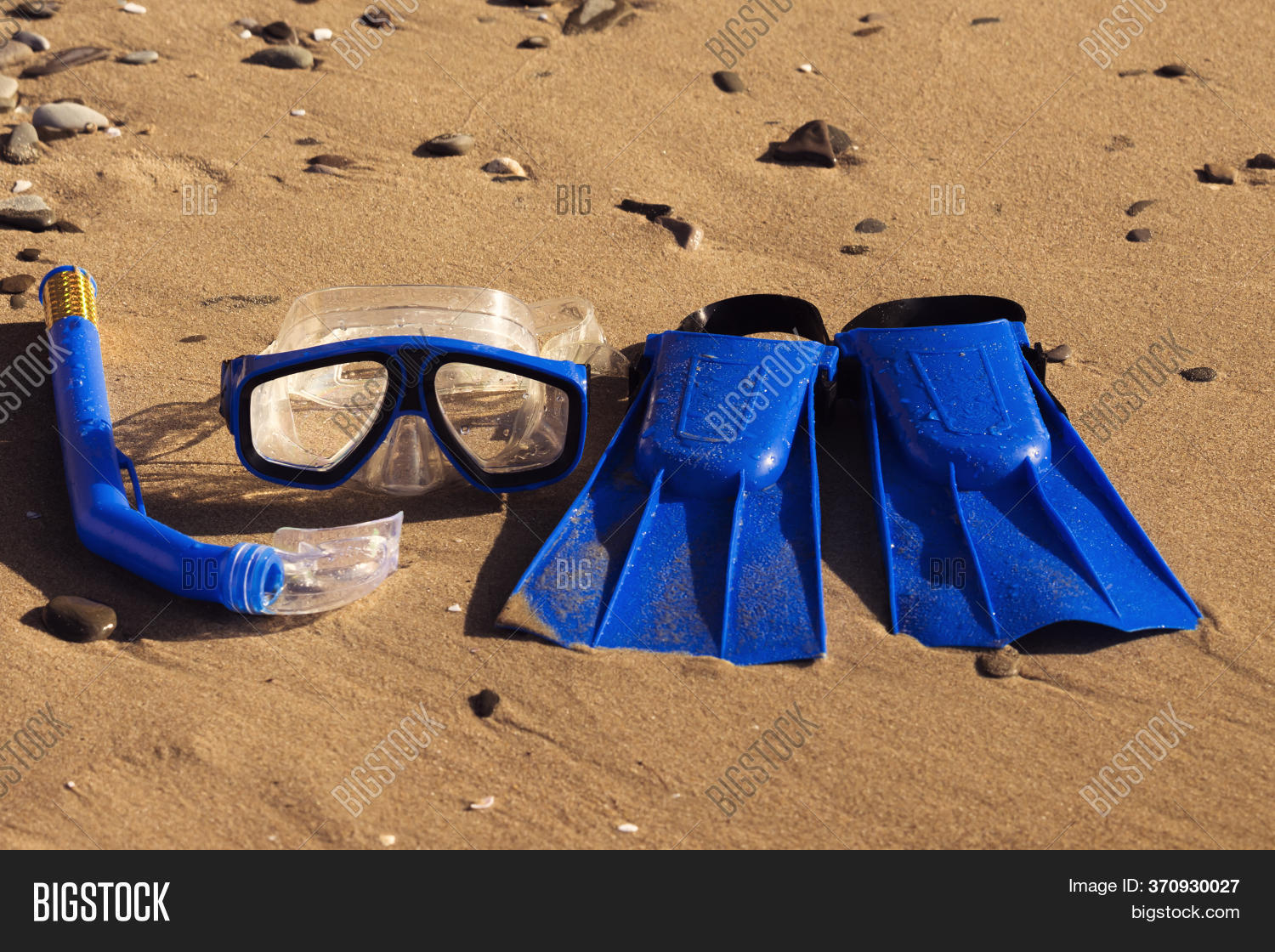 Blue Swim Flippers, Image & Photo (Free Trial) | Bigstock