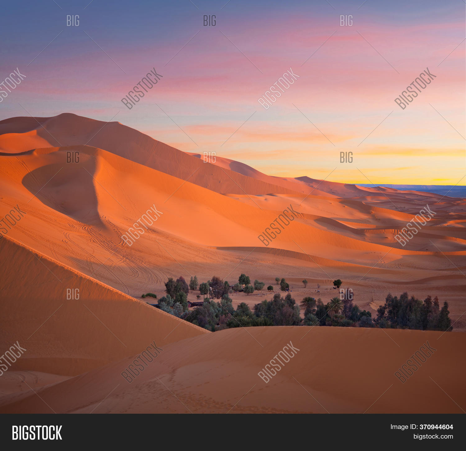 Green Oasis Palm Trees Image & Photo (Free Trial) | Bigstock