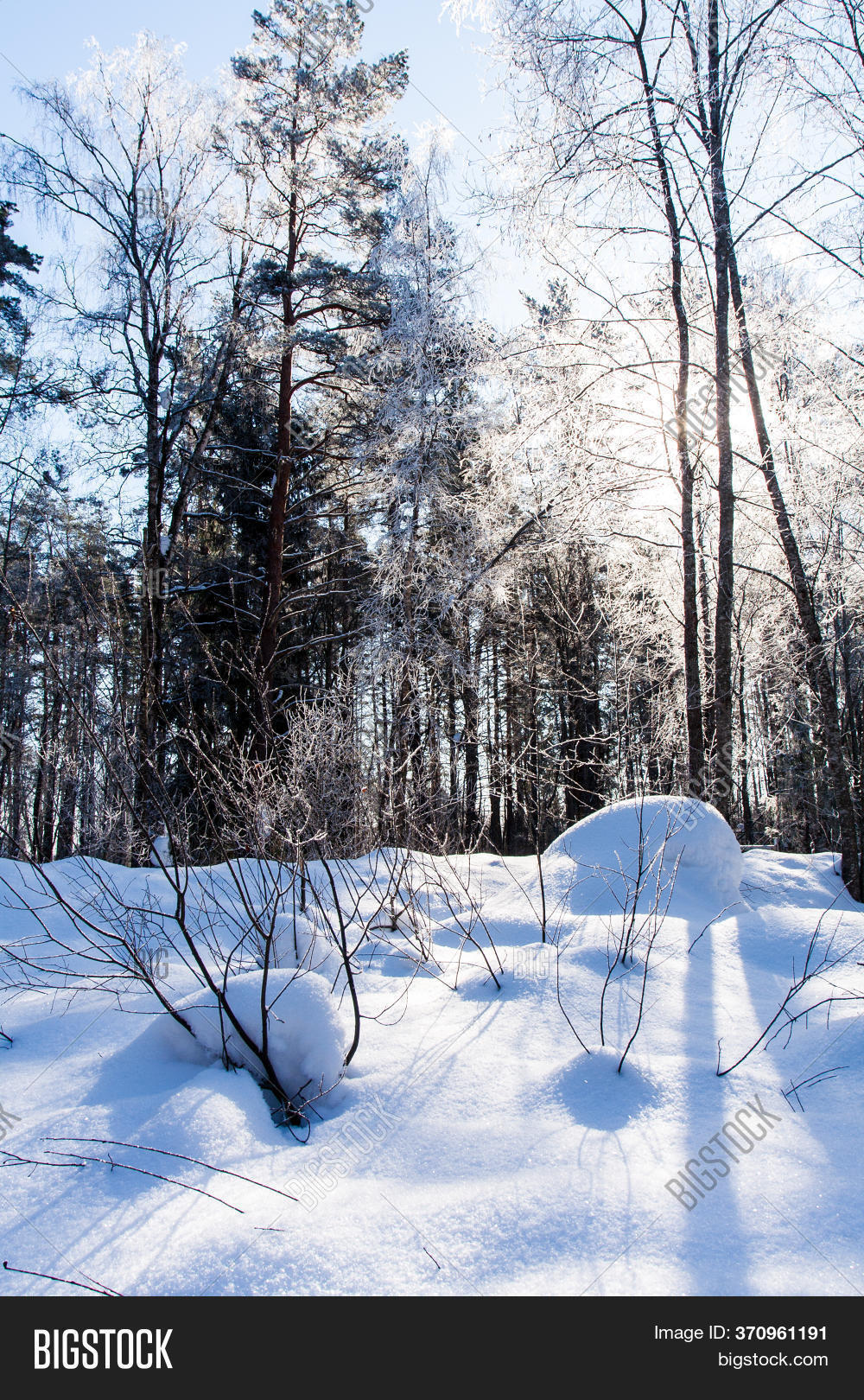 Frosty Ice Snow On Image & Photo (Free Trial) | Bigstock