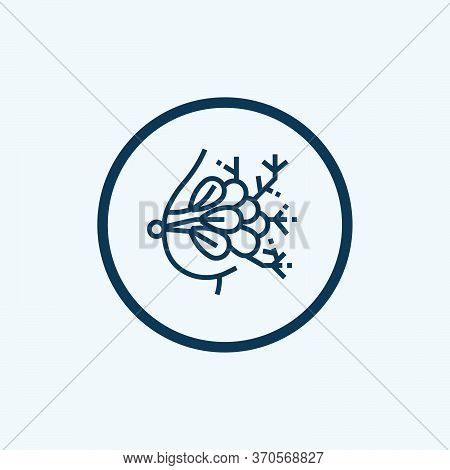 Mammary Gland Line Vector & Photo (Free Trial) | Bigstock