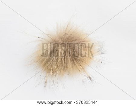 Fuzz Ball Images, Illustrations & Vectors (Free) - Bigstock