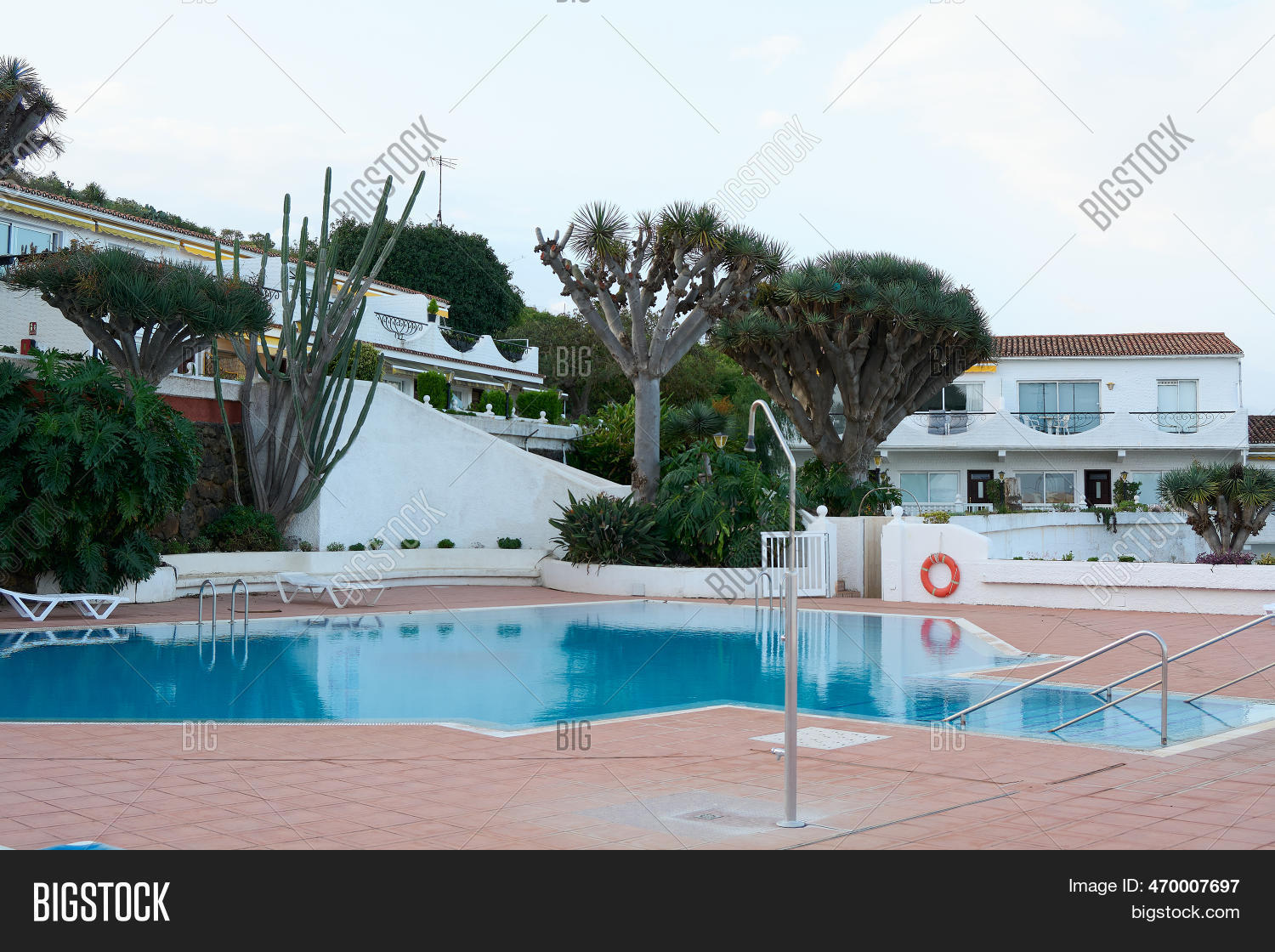 Imagen y foto Communal Swimming (prueba gratis) | Bigstock